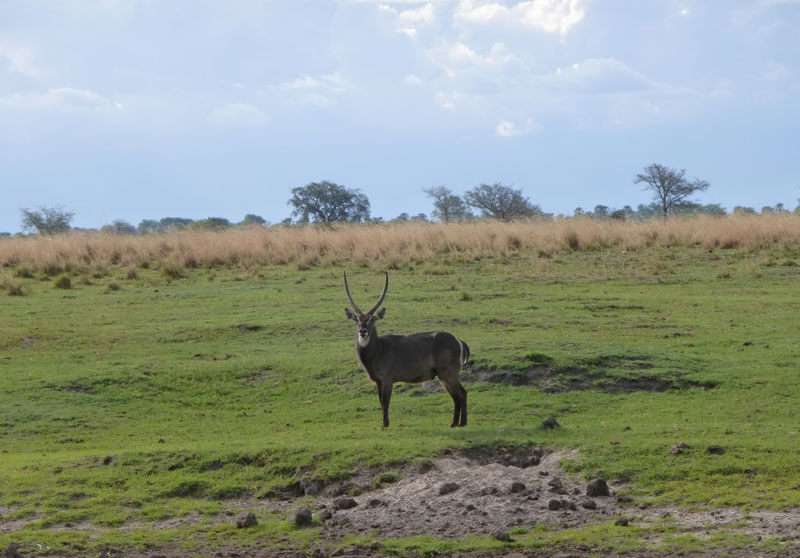 Budget Botswana Safari: Camping Safari in Botswana