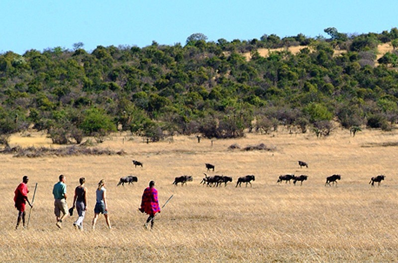 Gamewatchers Safaris - Best Safari Companies Kenya Safaris Porini Camps ...