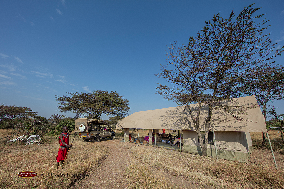 Gamewatchers Safaris - Best Safari Companies Kenya Safaris Porini Camps Africa