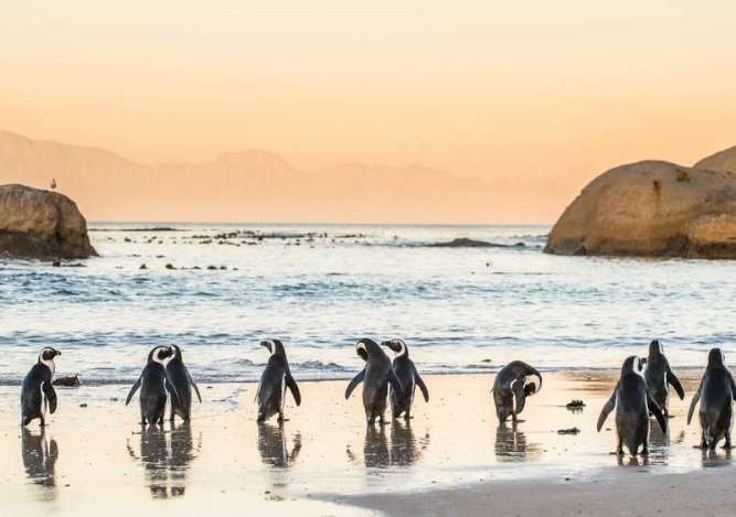 Africa Beach: Best African Beach Destinations