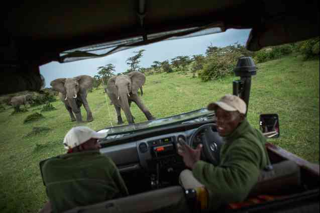 Private African Safari Packages: Costs & Custom Tours