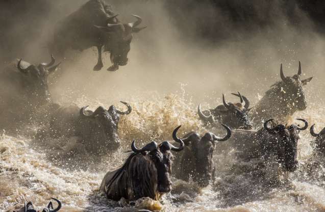 Best Time to Visit Masai Mara: Kenya Safari Guide When to Go