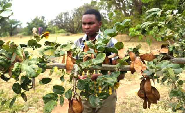 African Culture Now: Gain Insight into the Makonde People of Tanzania