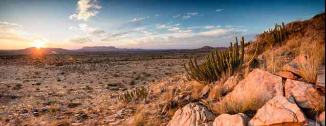 Kalahari Desert Facts: Kalahari Safaris | Kalahari San