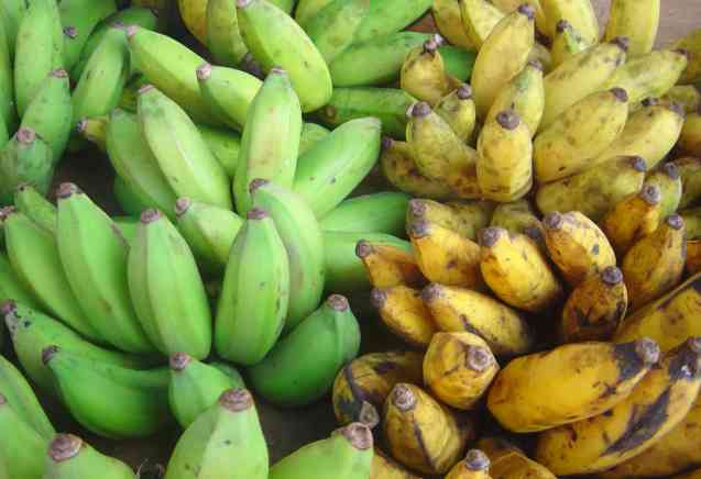 Uganda Culture: Banana Culture - Uganda Safari