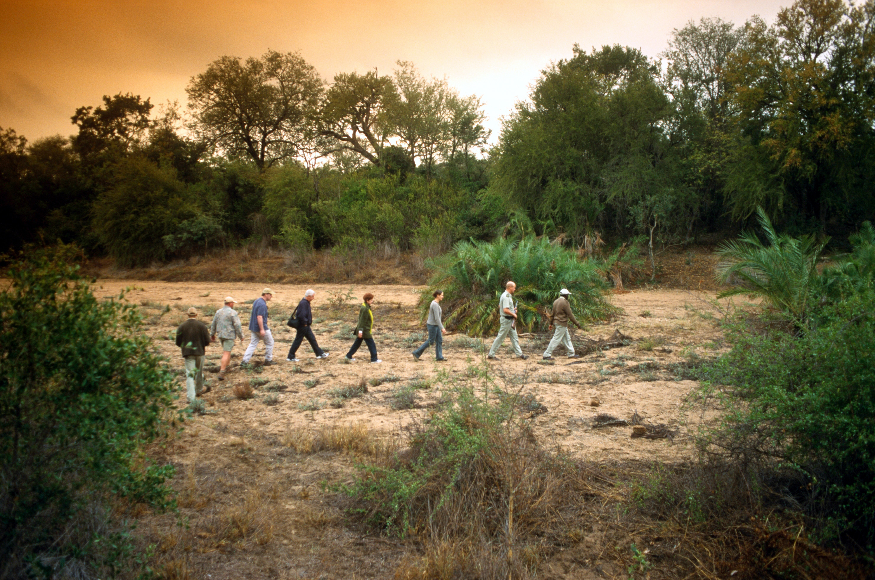 African Walking Safaris: Where to Go & When Walking Safaris