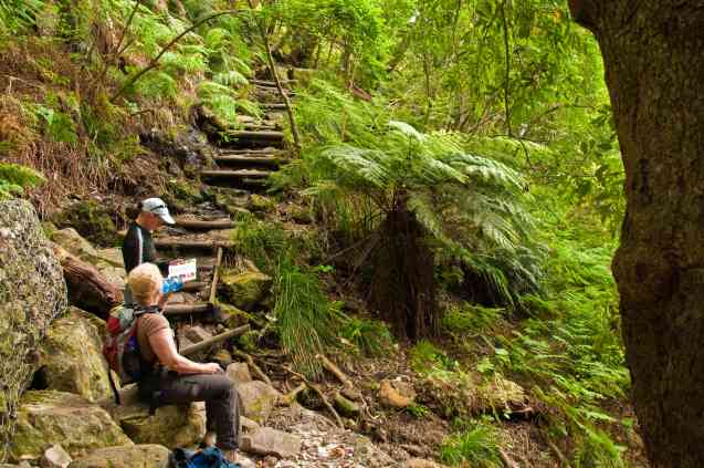 Hiking in Cape Town: 10 of The Best Day Hikes in Cape Town