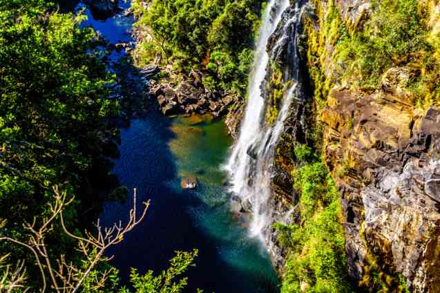 Best African Forests & Woodlands to Visit: Forest Safaris in Africa
