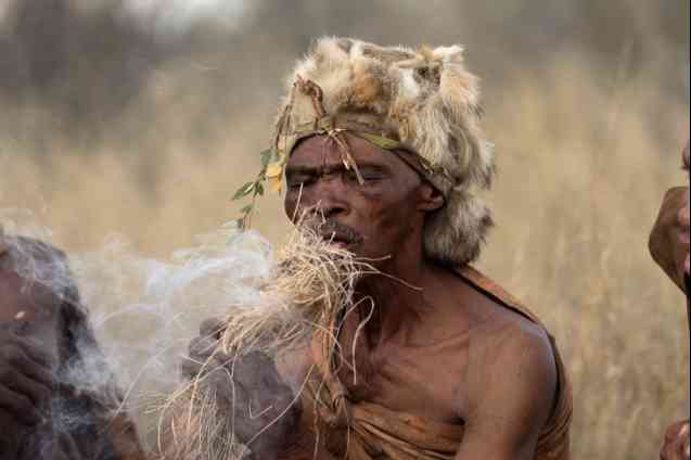 The Khoisan People & Plants | Kalahari Bushmen