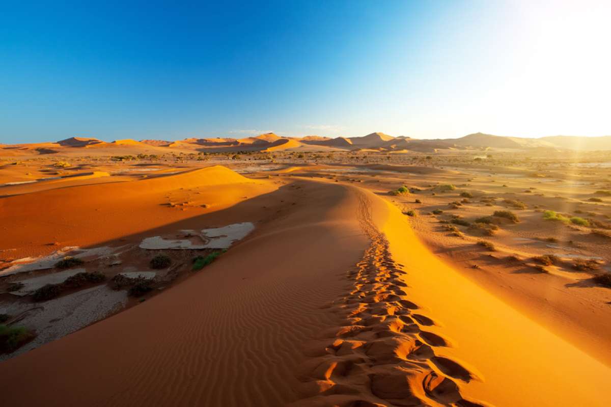 Desert Safaris in Africa: Southern African Deserts