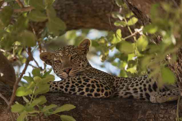 Remote Places in Africa: Wildlife Parks & Wilderness Areas