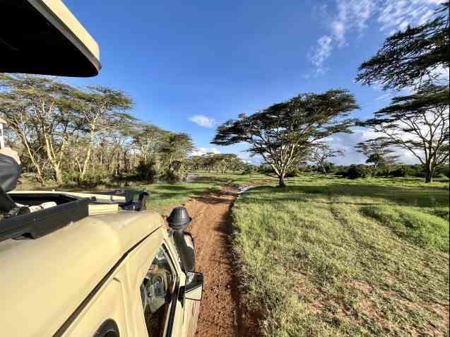 Safari in Kenya | African Safaris