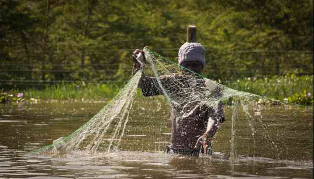 Safari in Kenya | African Budget Safaris