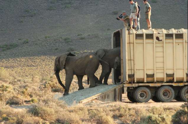 Sanbona Wildlife Reserve and Conservation