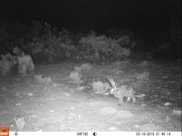 Sanbona Wildlife Reserve and Conservation