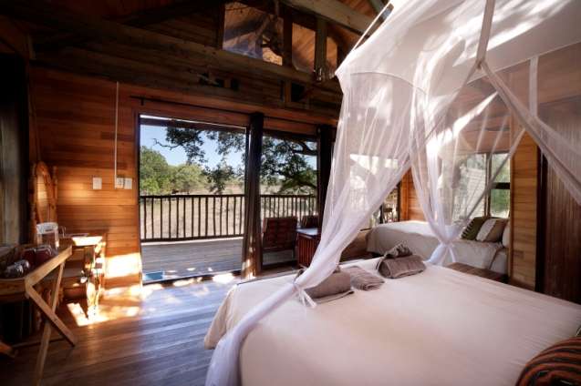 Kruger Treehouse Safari Guide: Best Treehouse Safaris in Greater Kruger