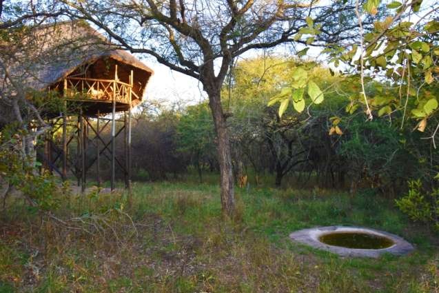 Kruger Treehouse Safari Guide: Best Treehouse Safaris in Greater Kruger