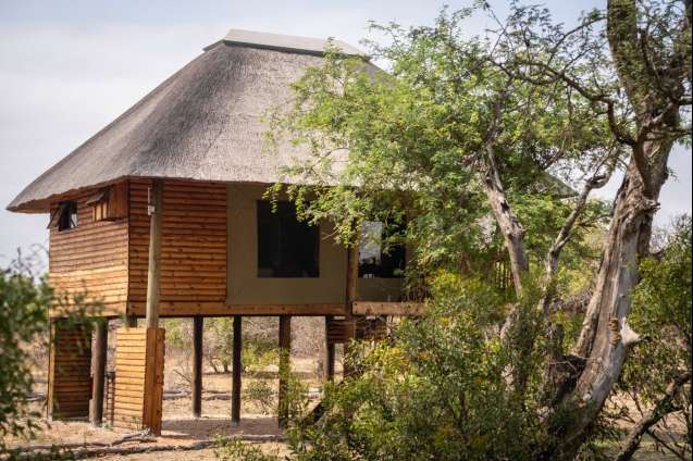 10 of the Best Affordable Kruger Treehouse Safaris in South Africa