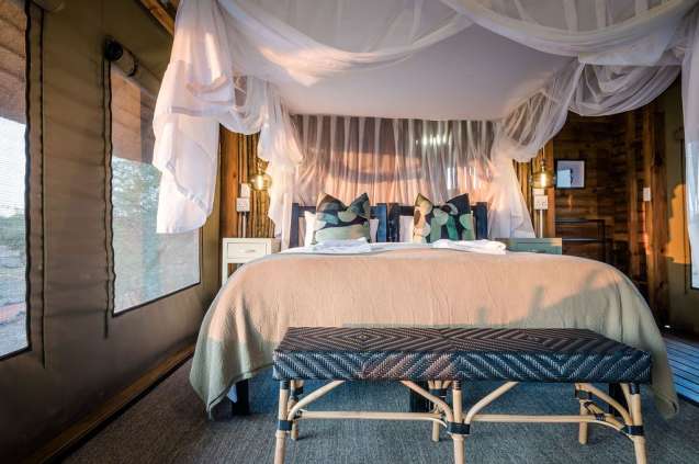 10 of the Best Affordable Kruger Treehouse Safaris in South Africa