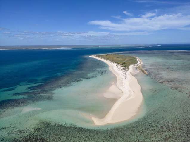 Madagascar Safari | Where to Go in Different Regions