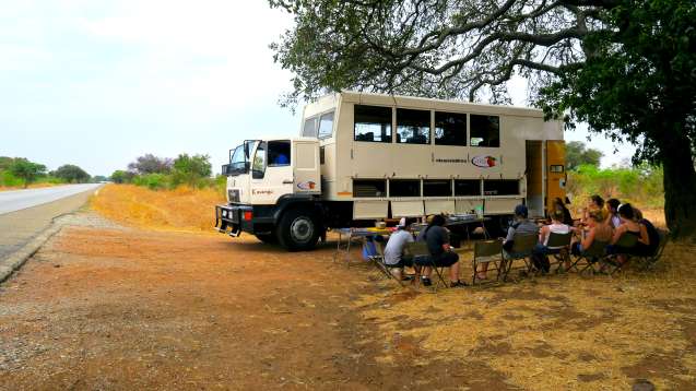 Planning an African Safari 2026: When to Go, Where & What to Book