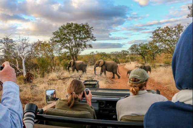 Kruger National Park Attractions: Things To Do in Kruger