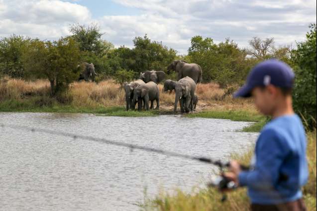 Kruger National Park Attractions: Things To Do in Kruger