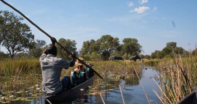 Mokoro Safaris in Okavango Delta: 2025-2026 Season Guide