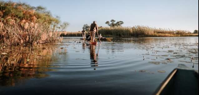 Mokoro Safaris in Okavango Delta: 2025-2026 Season Guide