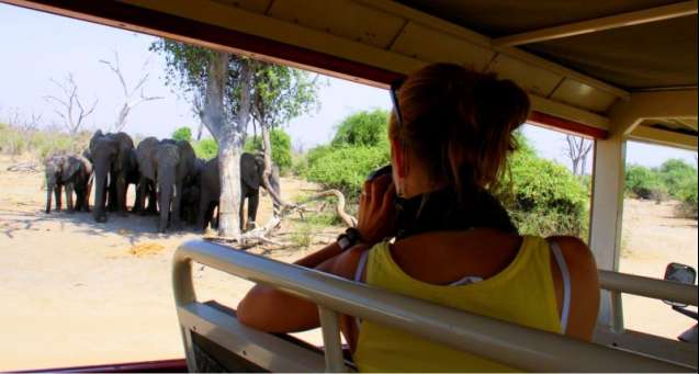 African Safari Activities: Frequently Asked Questions