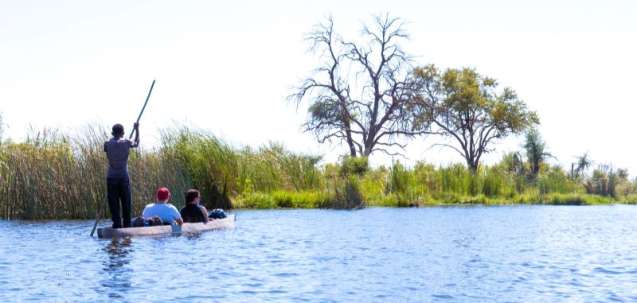 African Safari Activities: Frequently Asked Questions