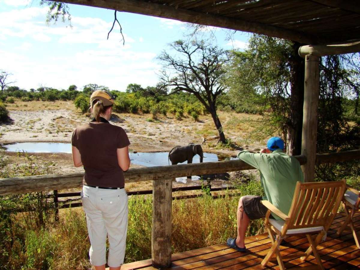 Complete Africa Safari Planning Guide: Essential FAQs for 2026