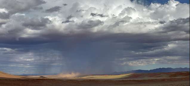 Best Safaris in Namibia: 2025 Rains Transform Deserts