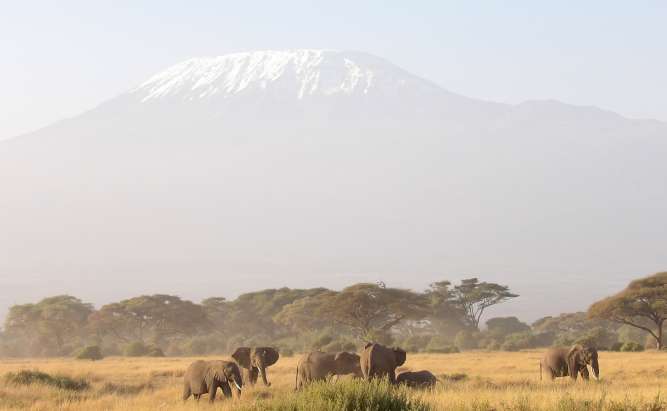 Kenya Safari Insights: Expert Tips from Travel Advisor Claire Monson