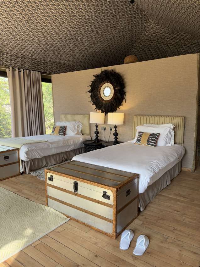 Kenya Safari Insights: Expert Tips from Travel Advisor Claire Monson