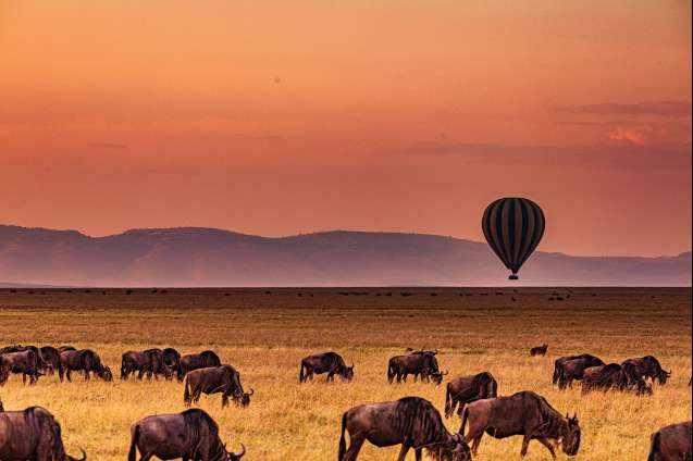 Great Migration: Travel Smart, See More, Stress Less