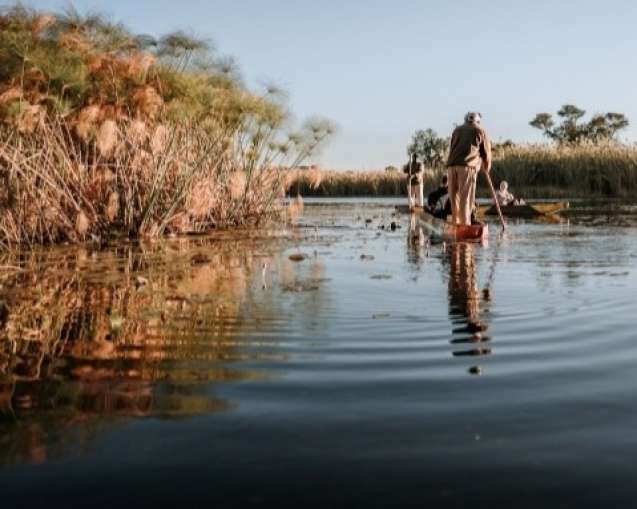The Best Safari Add-Ons in Africa: From Balloon Rides to Walking Safaris
