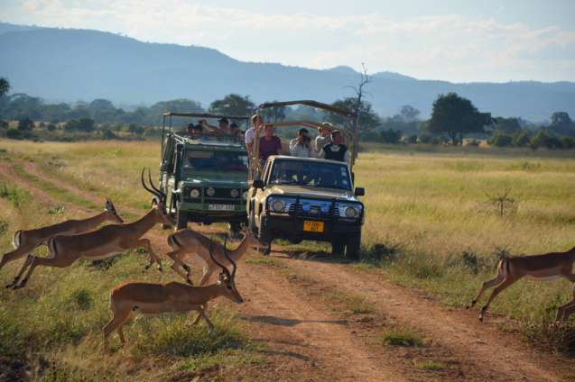 Africa Safari Deals for December 2025